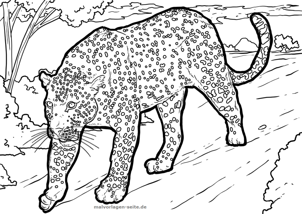Ausmalbilder Leoparden | Jetzt kostenlos herunterladen