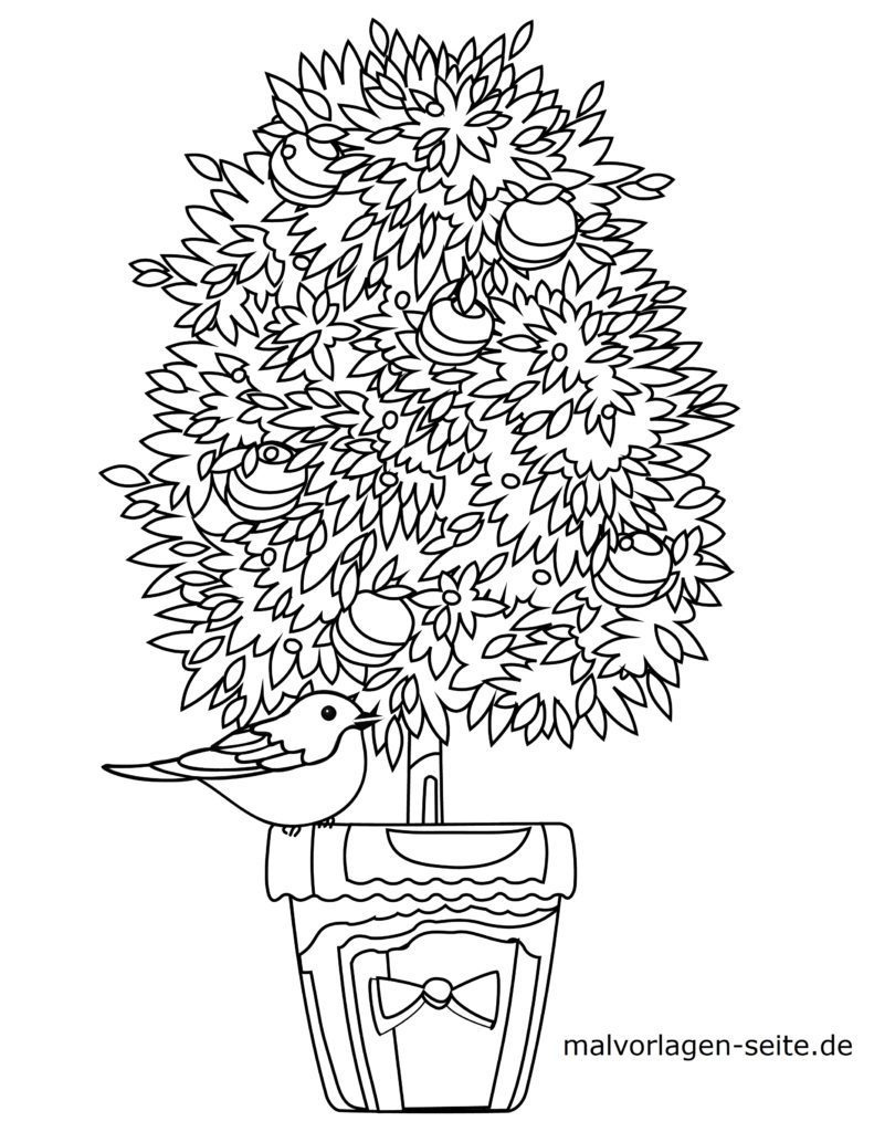 Malvorlage Pusteblume | Pflanzen | Ausmalbild kostenlos herunterladen