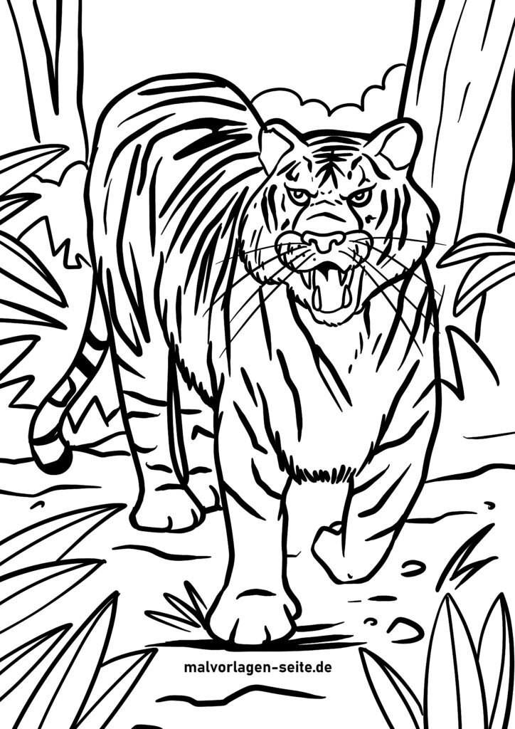 Ausmalbilder Tiger | Jetzt kostenlos herunterladen