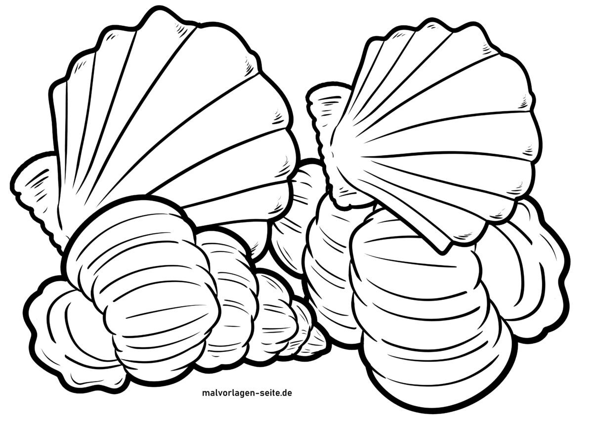 Malvorlage Muscheln | Jetzt kostenlos herunterladen