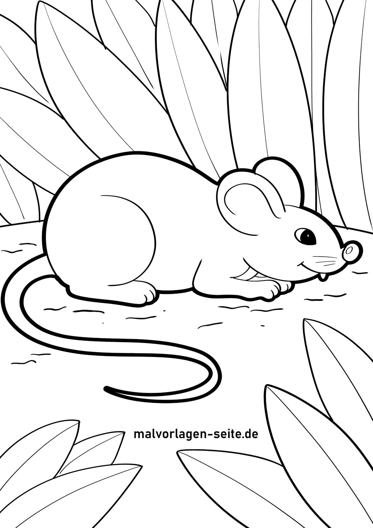 Malvorlage Maus | Jetzt kostenlos herunterladen