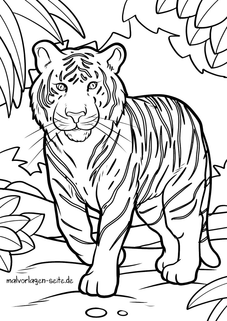 Malvorlage Tiger | Jetzt kostenlos herunterladen