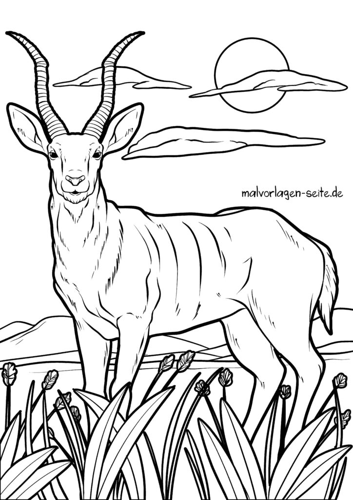 Malvorlage Antilope | Jetzt kostenlos herunterladen