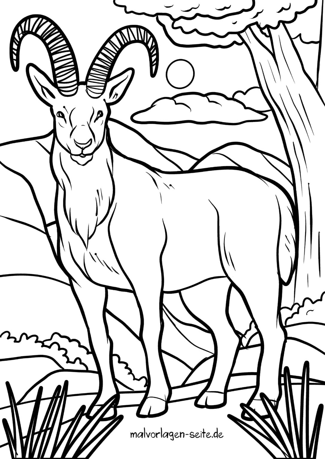 Malvorlage Steinbock | Jetzt kostenlos herunterladen
