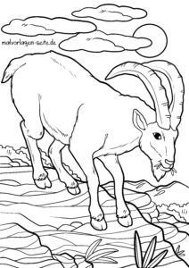 Malvorlage Steinbock | Jetzt kostenlos herunterladen