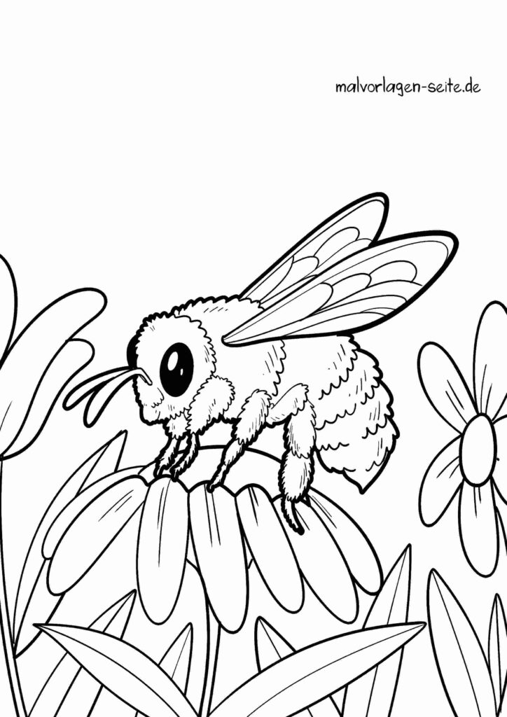 Malvorlage Hummel | Jetzt kostenlos herunterladen